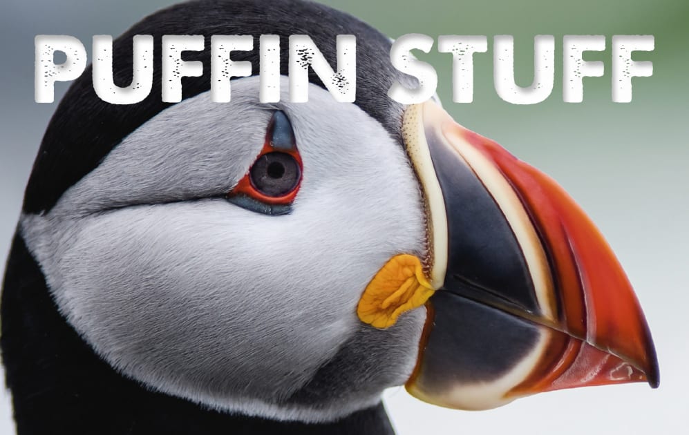 Puffin Stuff